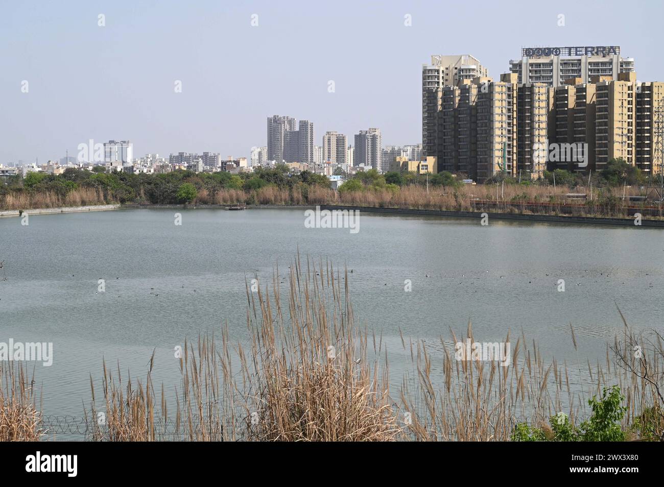 Gurugram, India. 14th Dec, 2024. GURUGRAM, INDIA - MARCH 27: Water Treatment Plant located at ...