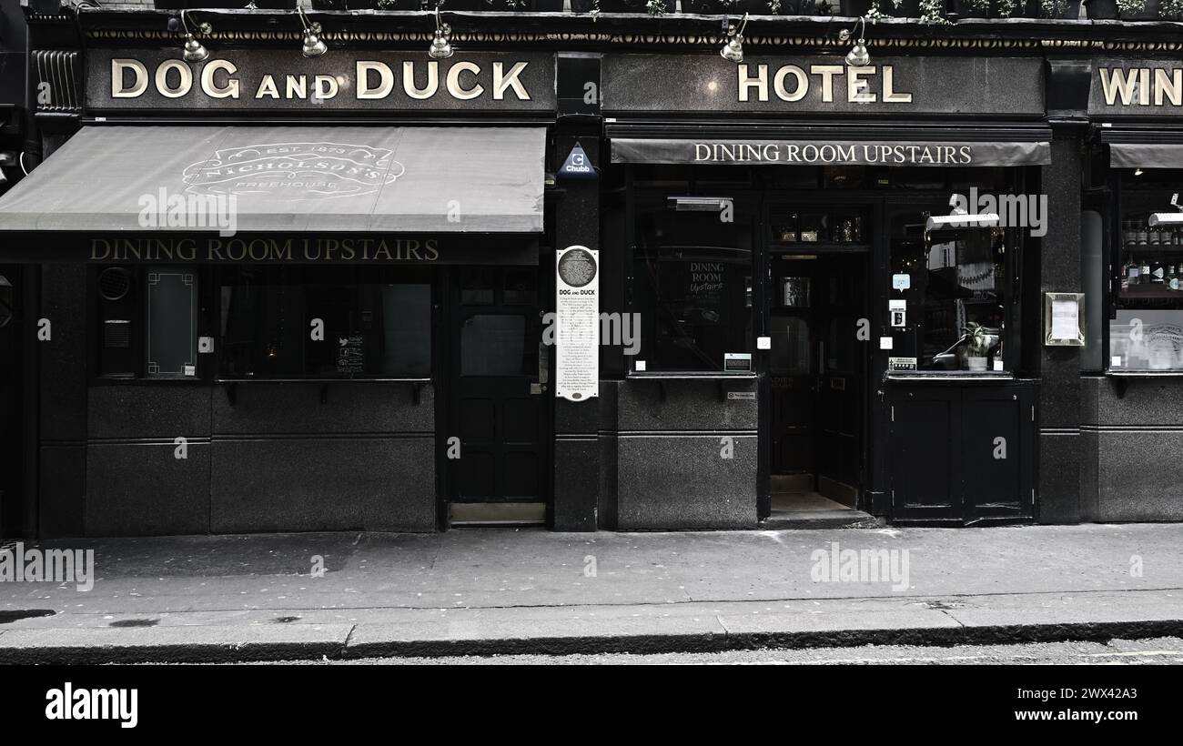 London pub the dog and duck hi-res stock photography and images - Alamy