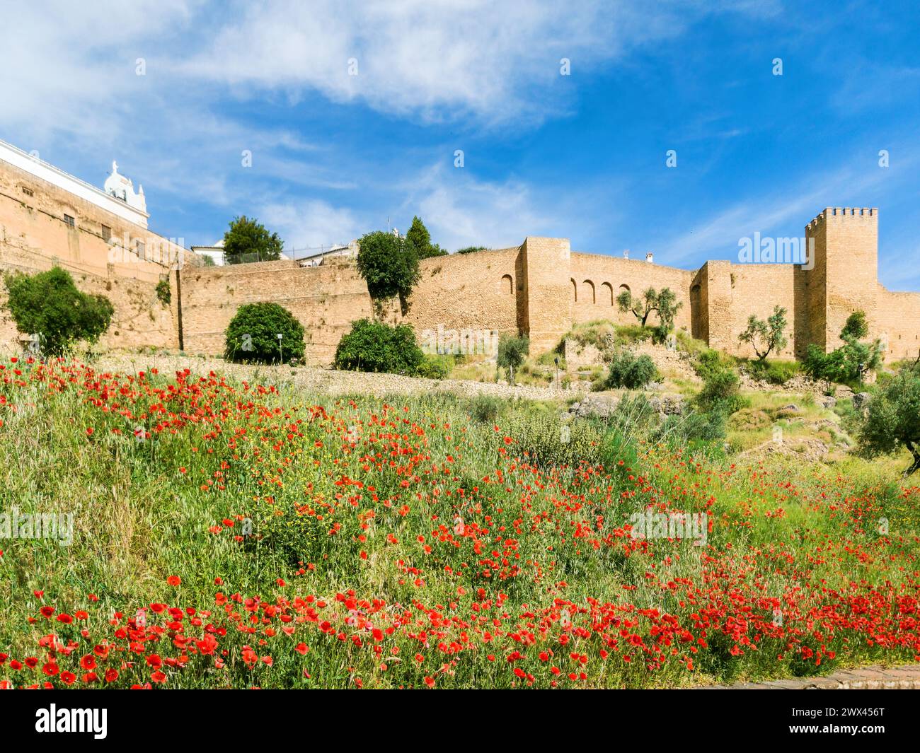 They were 712 hi-res stock photography and images - Alamy
