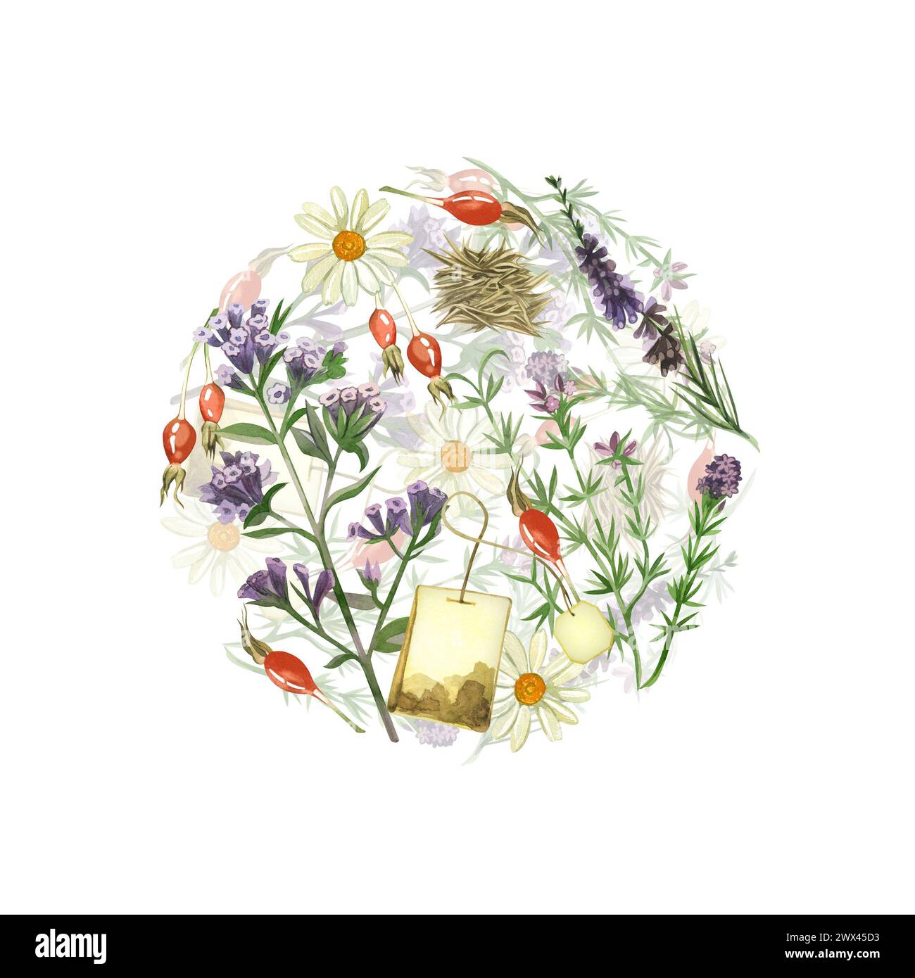 Herb tea. Round composition of herbal tea, tea bag, meadow herbs, rose ...
