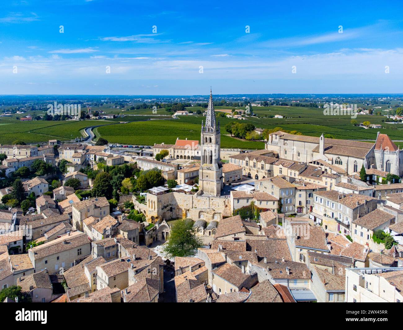 Aerial views of green vineyards, old houses and narrow hilly streets of ...