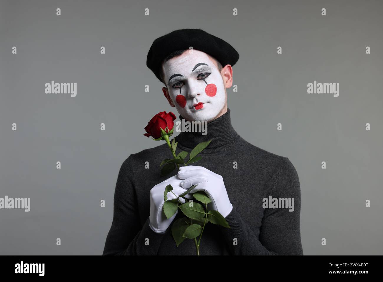 Rose mimic hi-res stock photography and images - Alamy