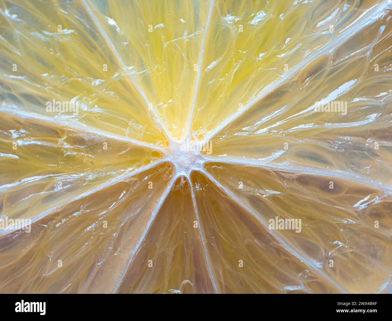 Lime close up fruit hi-res stock photography and images - Alamy