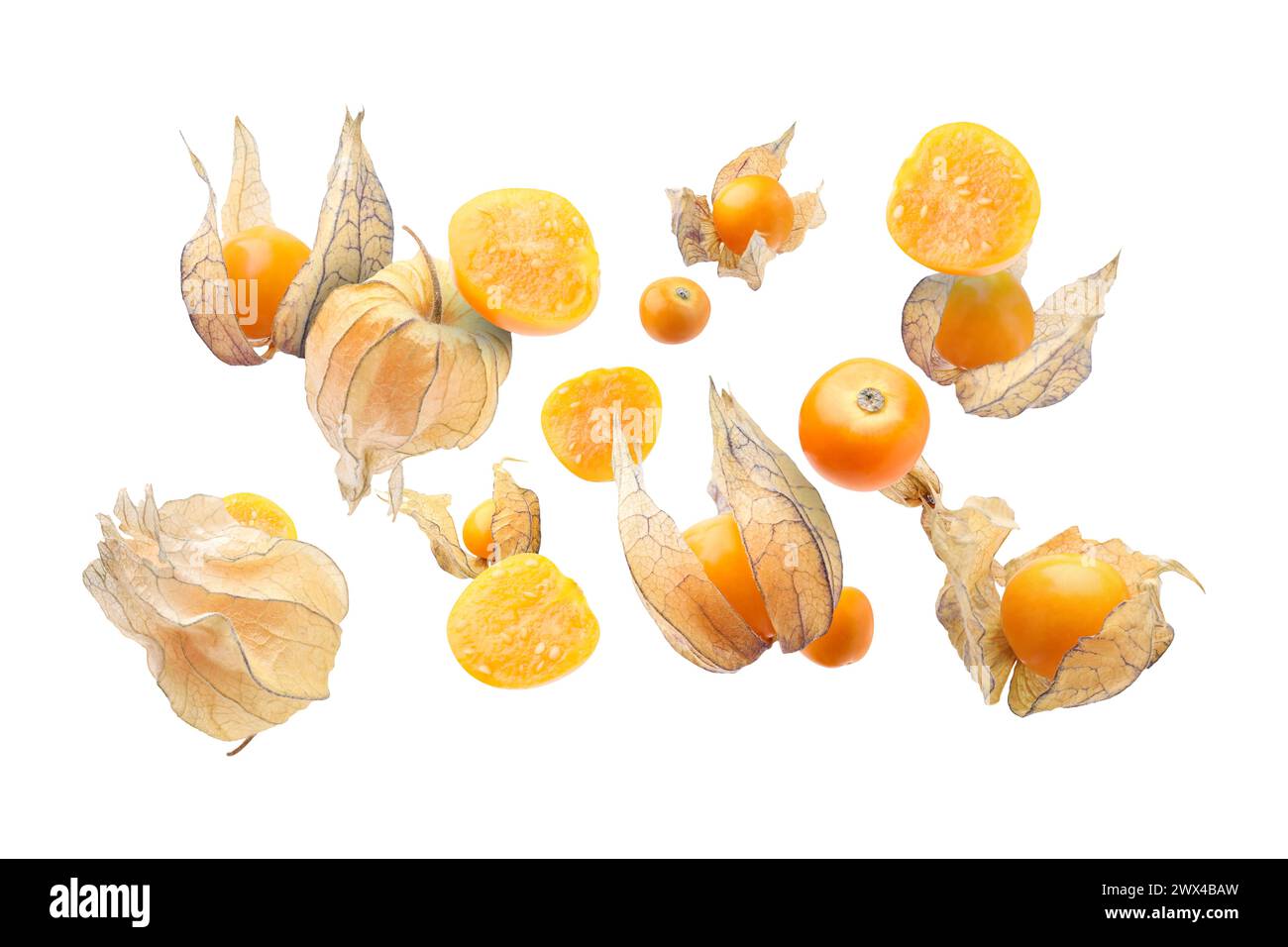 Ripe orange physalis fruits with calyx falling on white background ...