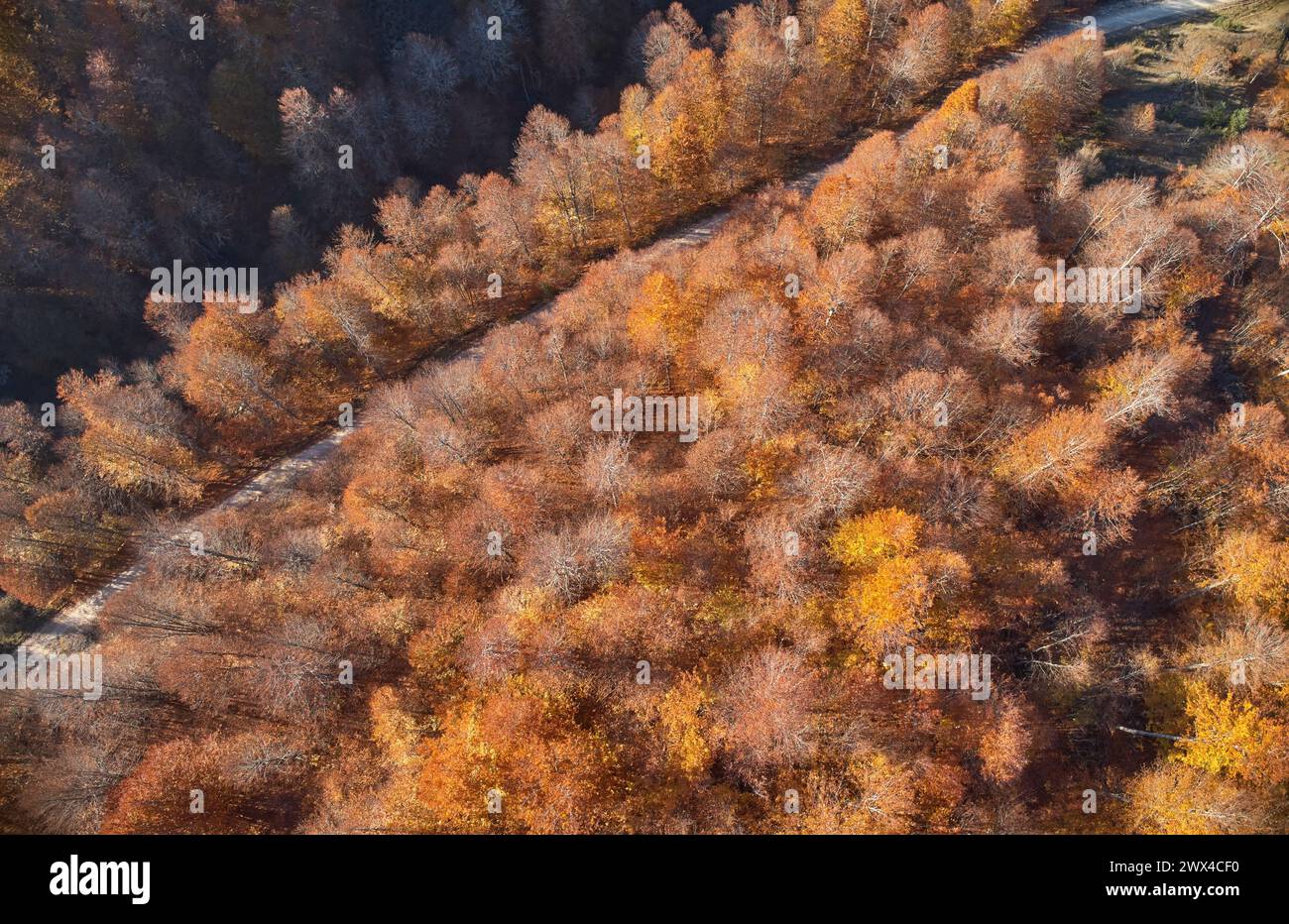 Aerial scene drone autumn road hi-res stock photography and images - Alamy
