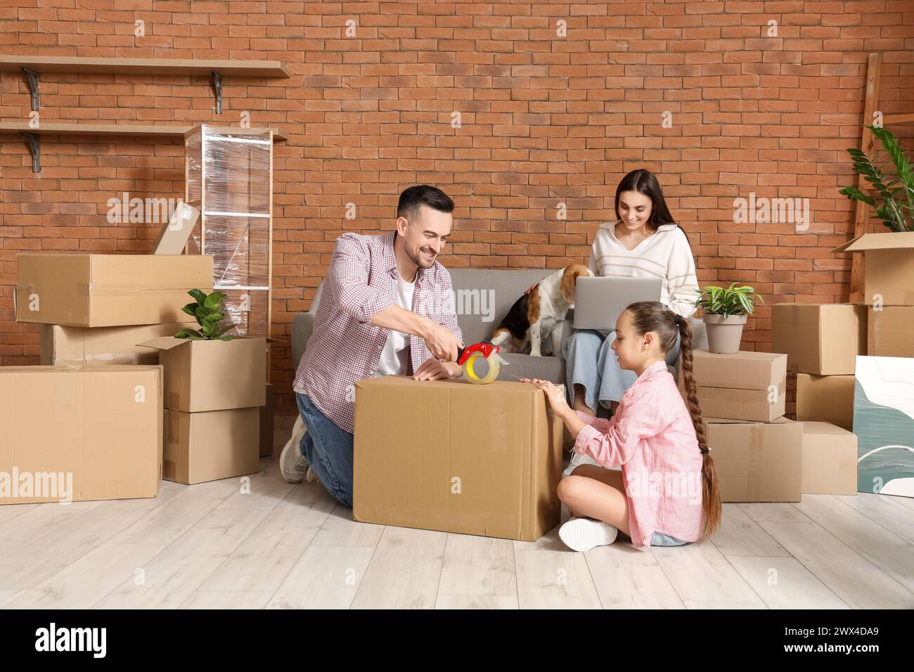 Happy family with dog taping box in room on moving day Stock Photo - Alamy