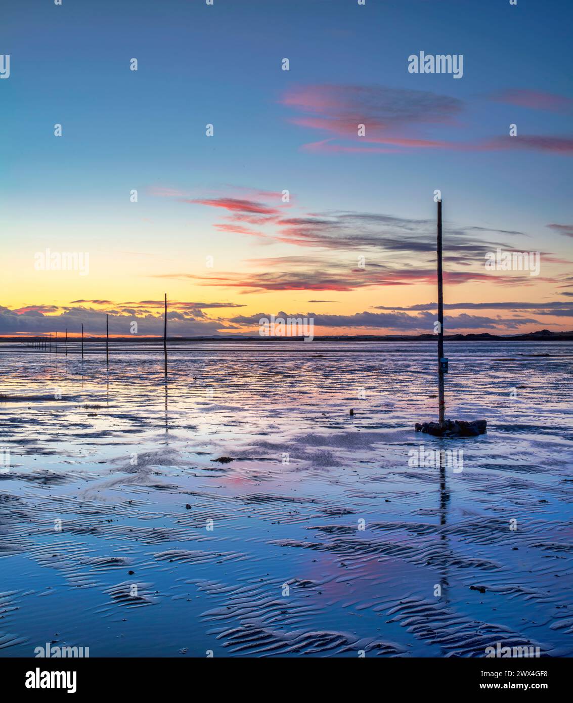 A view at sunset looking over the line of marker posts on the Pilgrim's ...