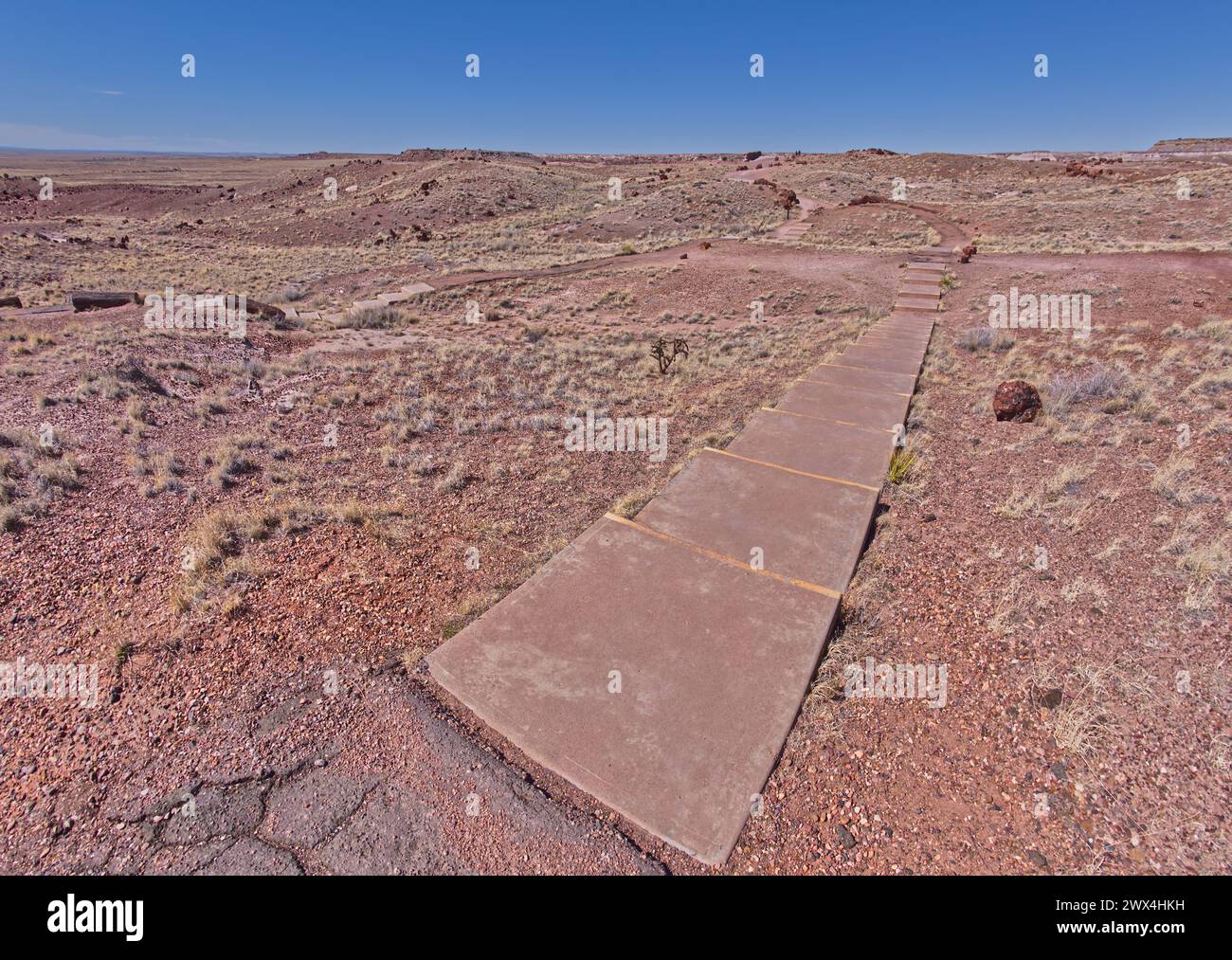 Steps along the Giant Logs Trail leading to a scenic overlook in ...