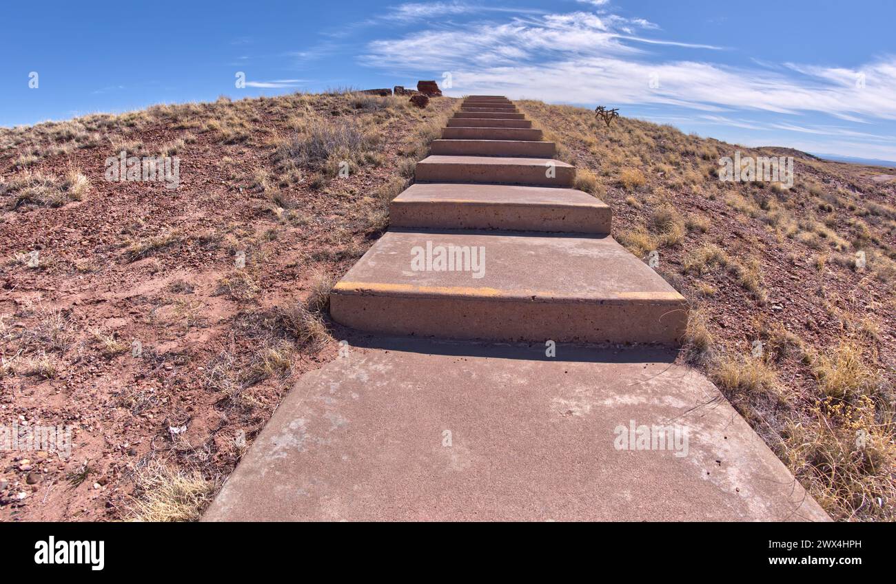 Steps along the Giant Logs Trail leading to a scenic overlook in ...