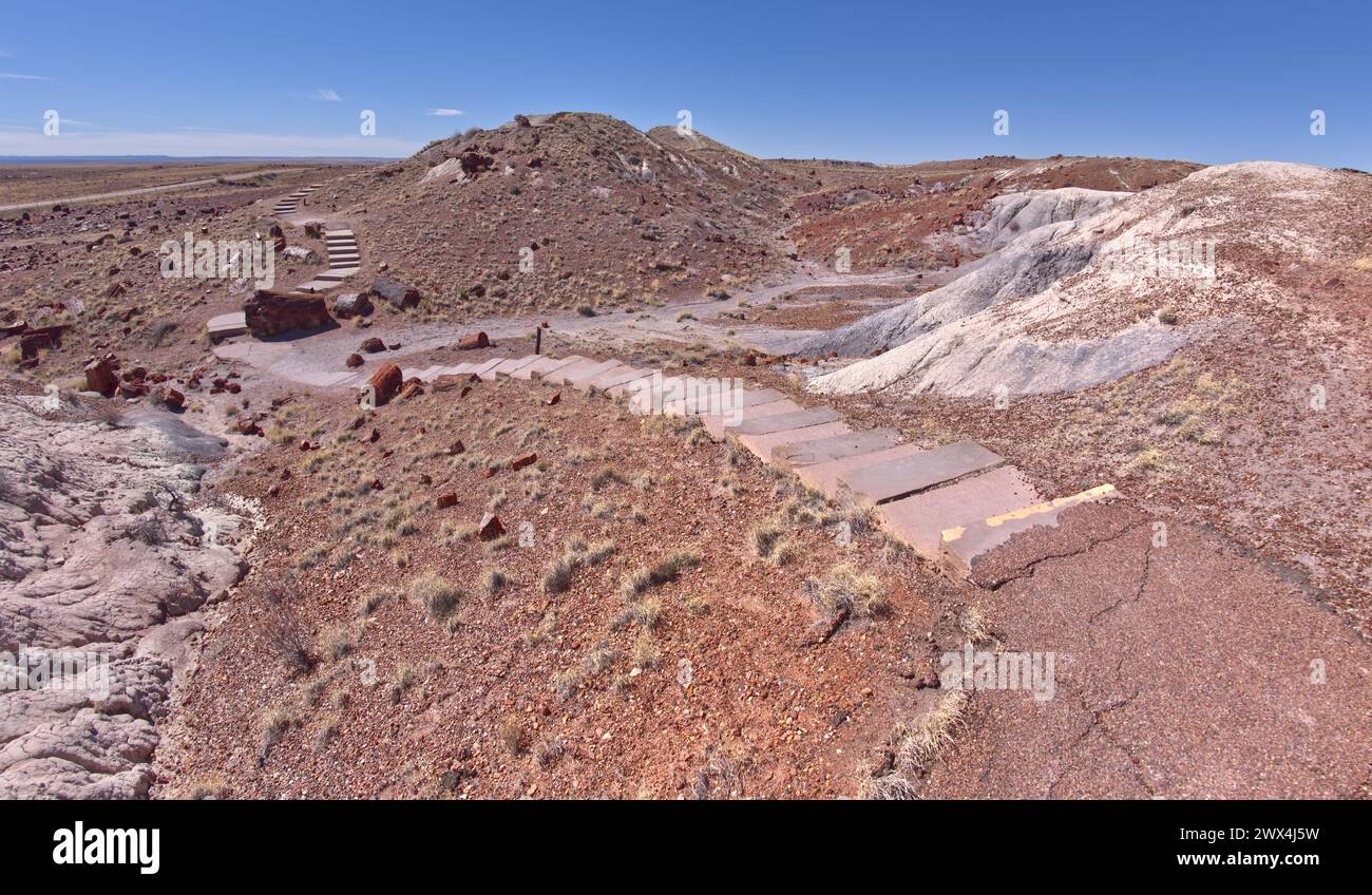 The steps of the Giant Logs Trail winding around a hill behind the ...