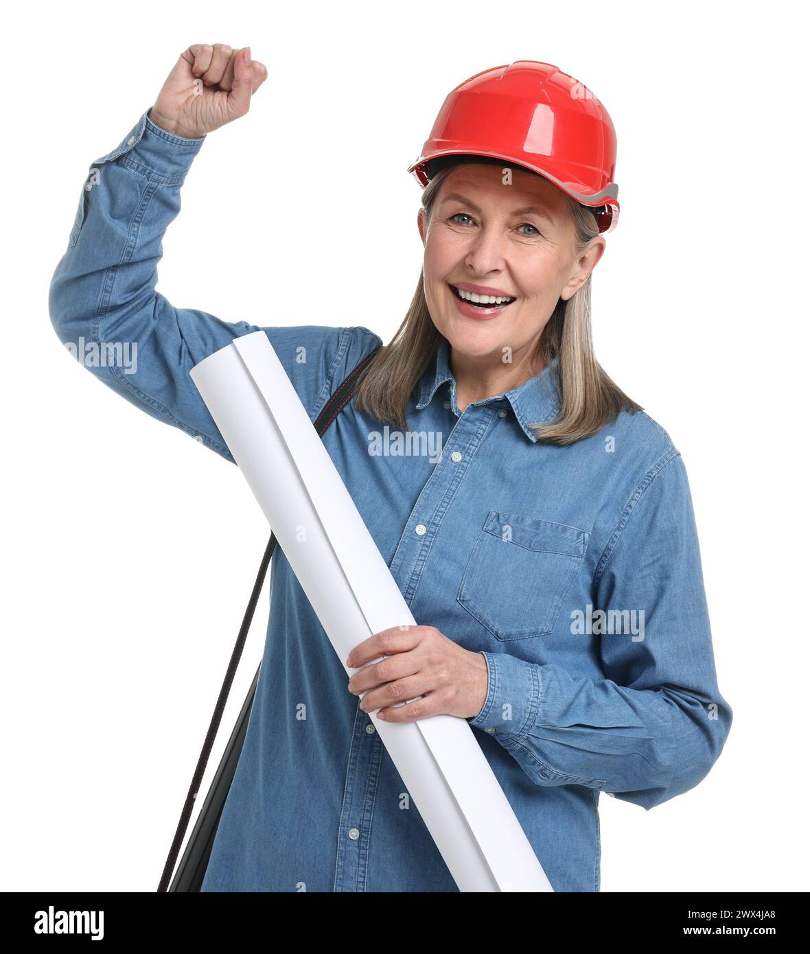 Architect in hard hat with draft and tube on white background Stock ...