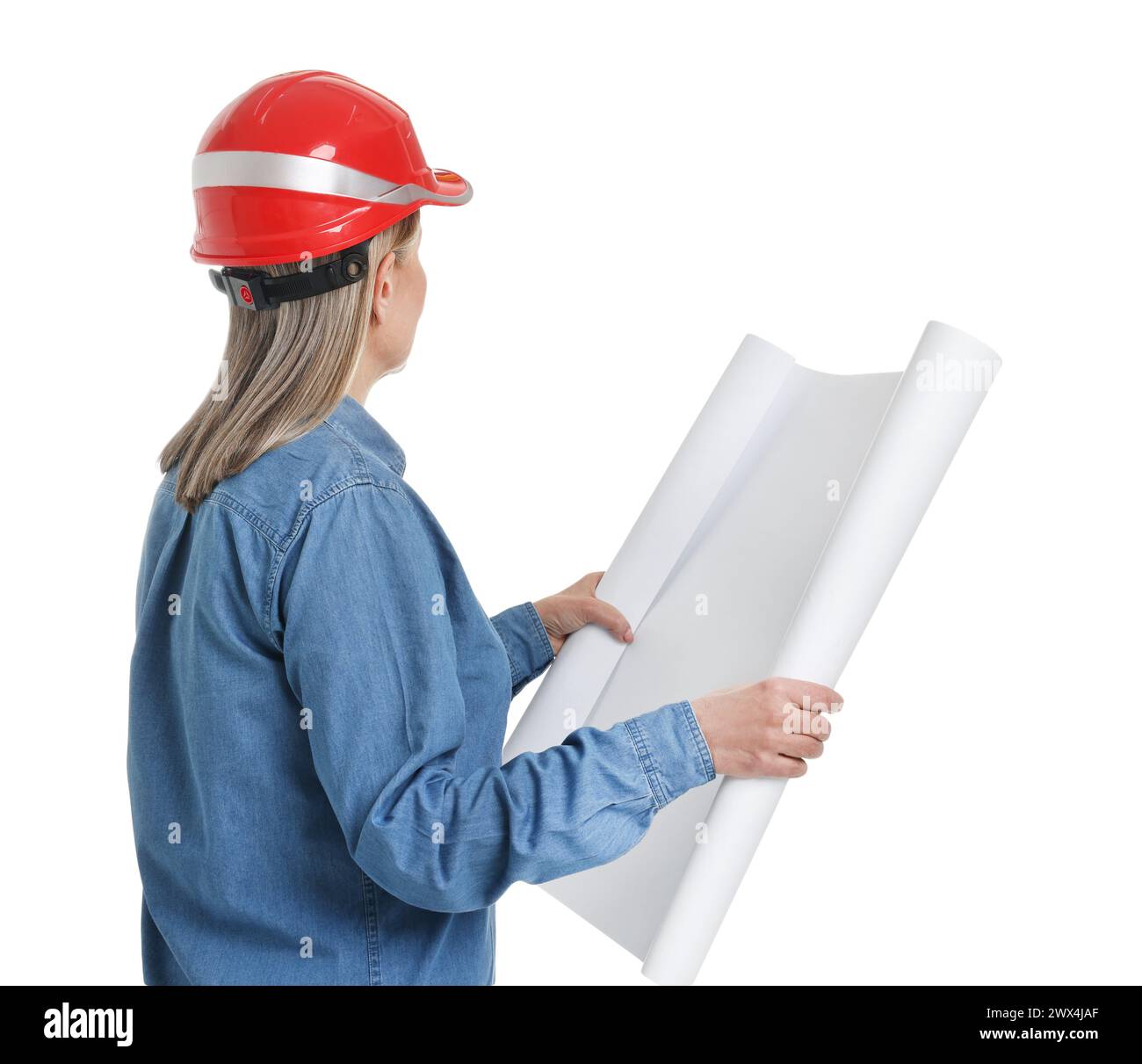 Architect in hard hat with draft on white background Stock Photo - Alamy