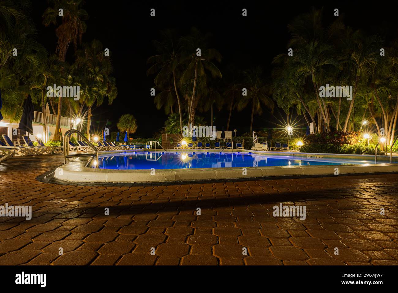 Beautiful nighttime ambiance surrounds the Radisson hotel, where palm ...