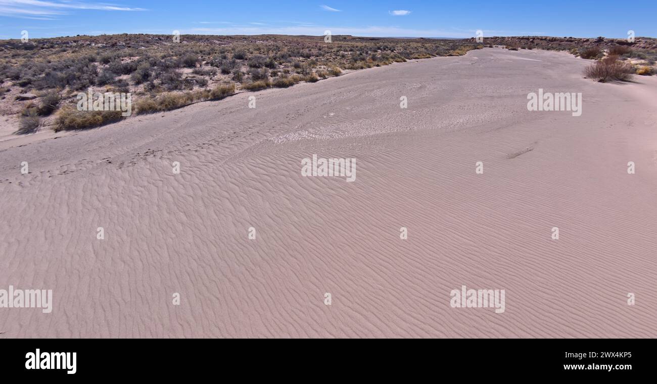 The dry sandy creek called Jim Camp Wash, which flows through Petrified ...