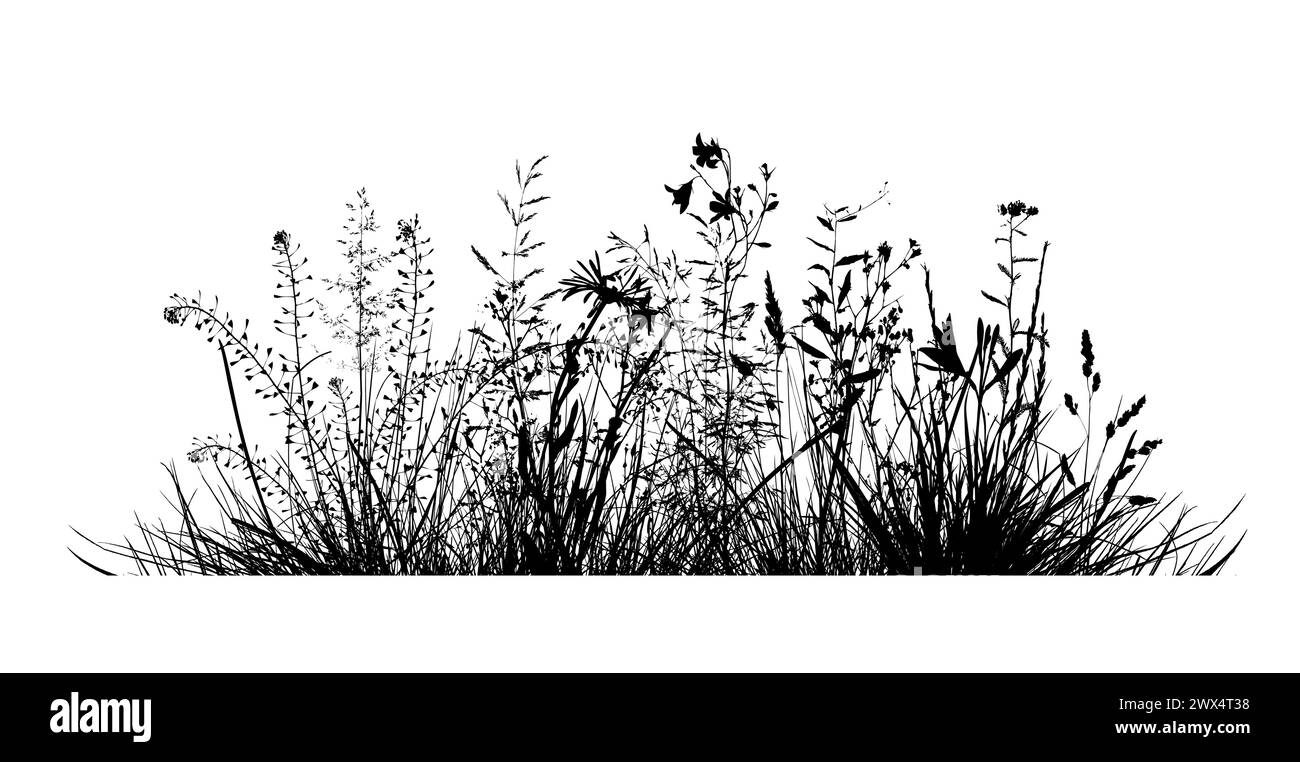 Meadow. Grass silhouette. hand drawing. Not AI, Vector illustration ...