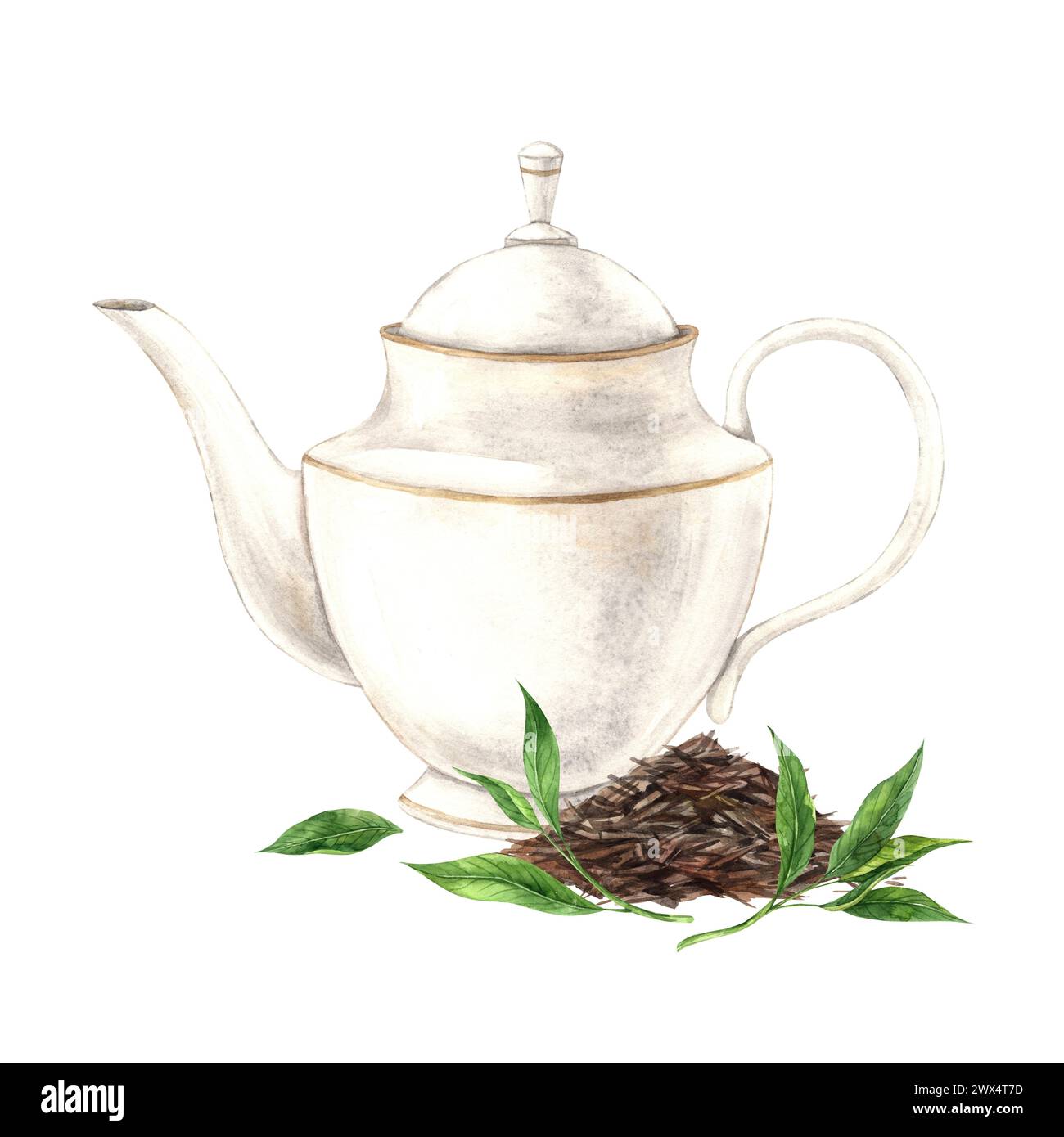 Vintage watercolor teapot with loose tea and green leaves. The ...