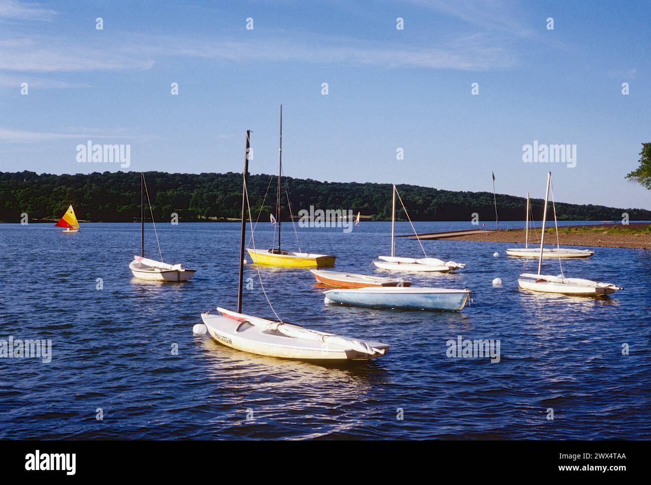 Colorful sailboats; Lake Galena; Peace Valley Park; Pennsylvania; USA ...