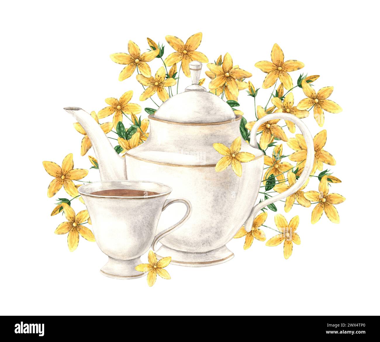 Watercolor composition of a teapot and mug, with yellow tutsan flowers ...