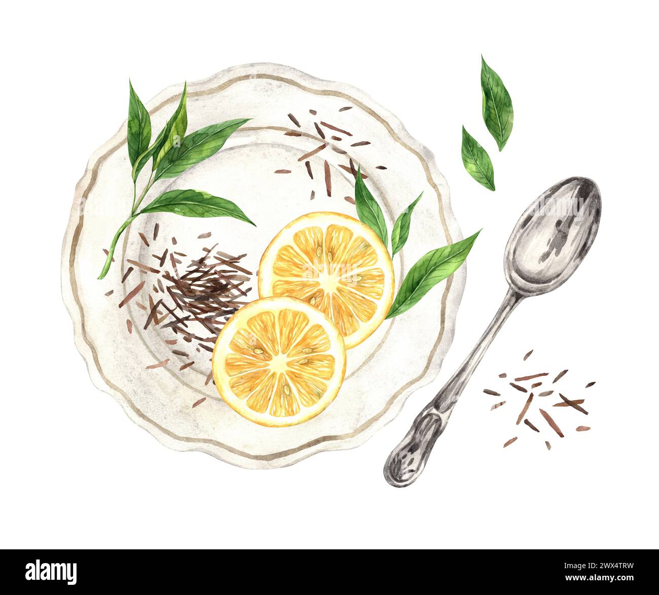 Watercolor composition, top view with plate, spoon, loose tea, spoon ...
