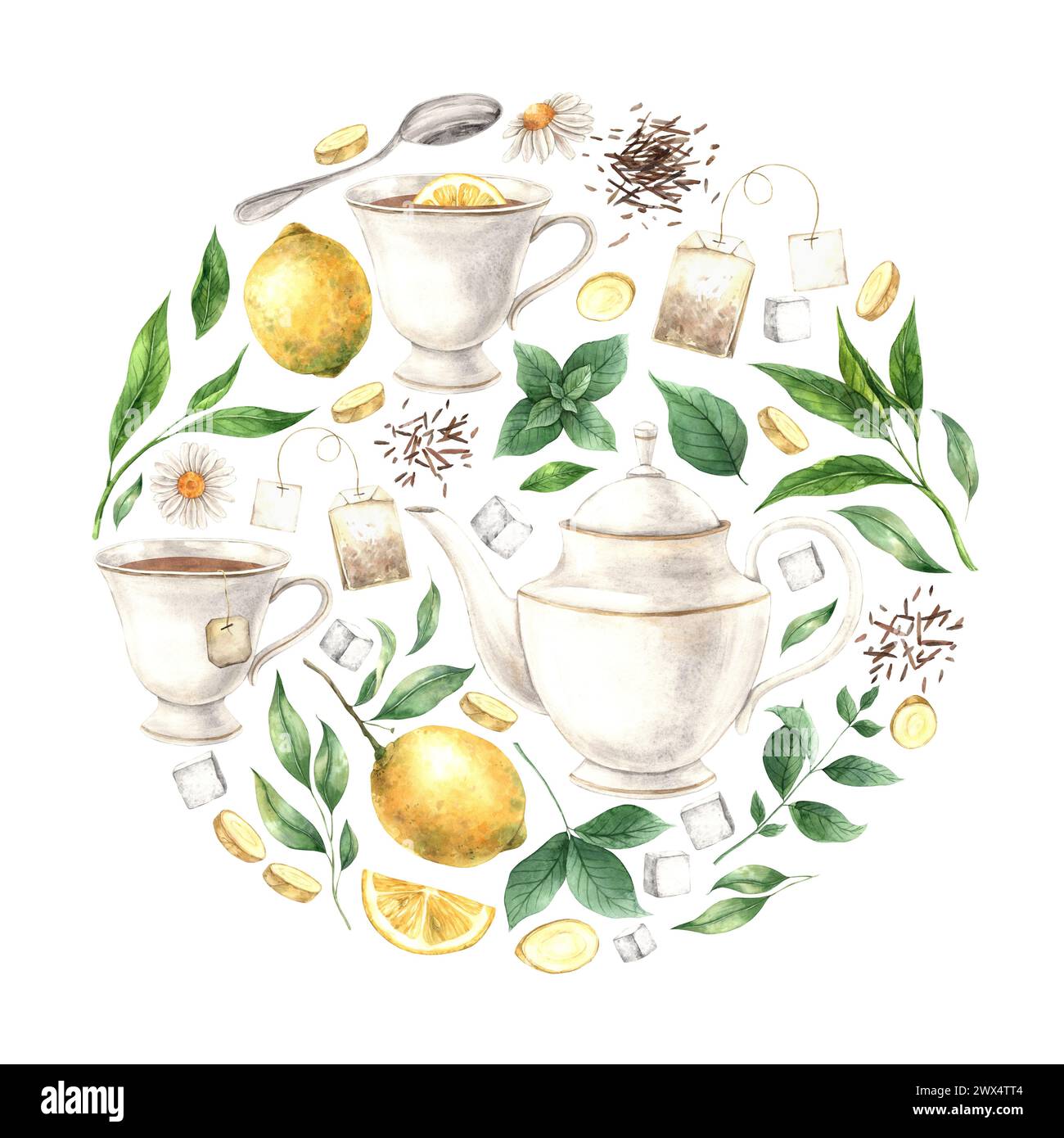 Watercolor round composition of mug, teapot, lemon, mint, chamomile ...
