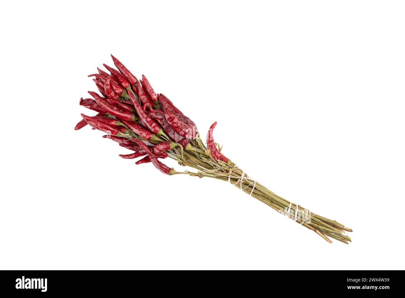 A bouquet of dried red hot pepper sprigs with pods. Food seasoning ...