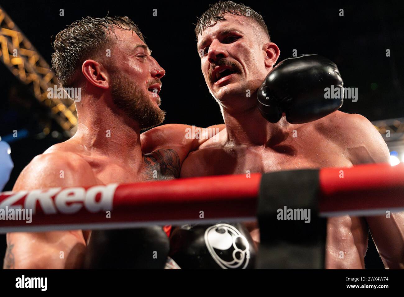 Nathan Heaney vs Brad Pauls for the British Middleweight Title Stock ...