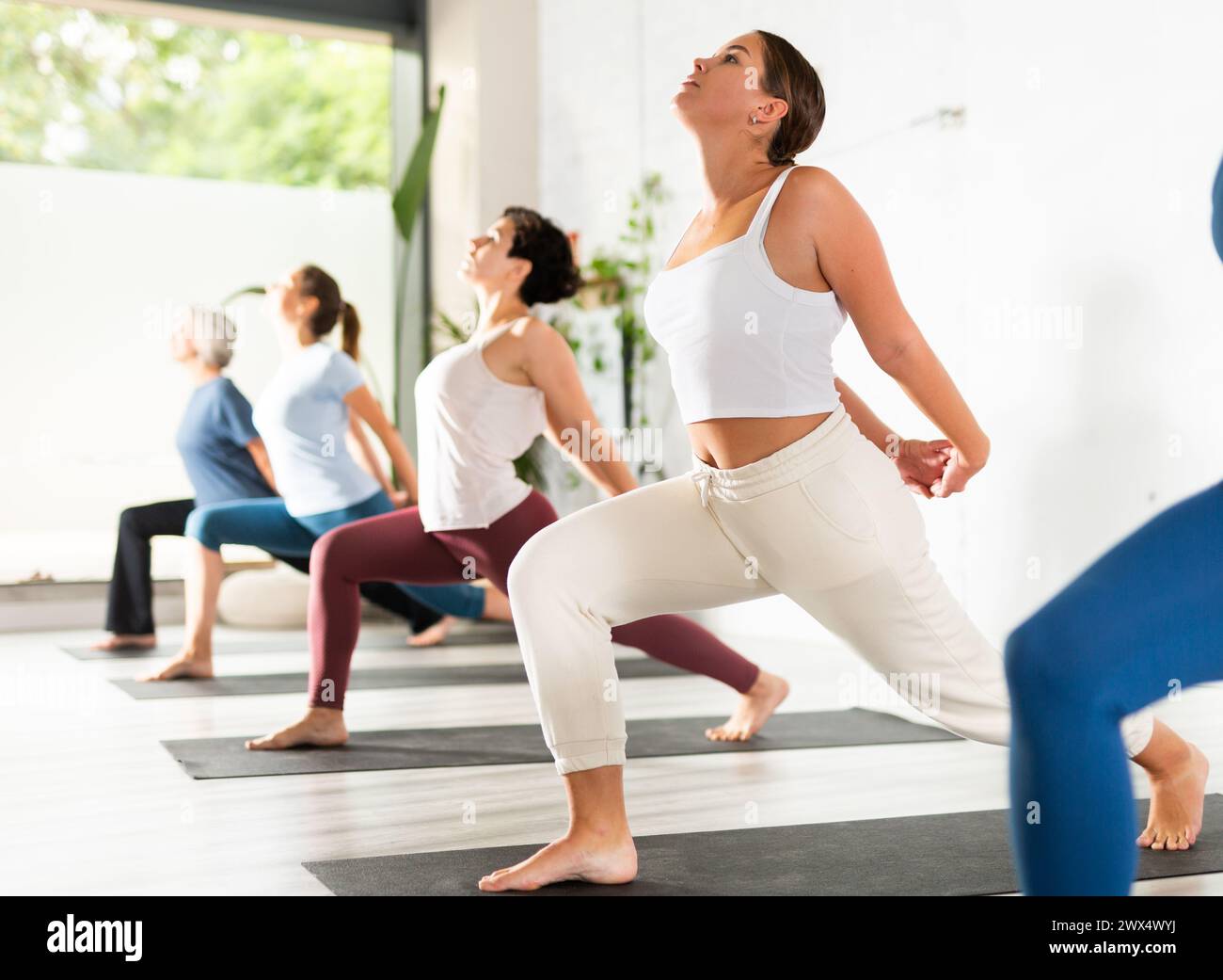 Group of sporty people practicing various yoga positions during training, focus on young female ...