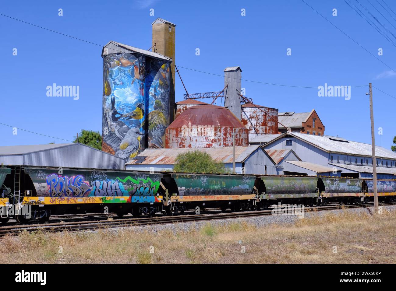 Murtoa: Silo art of birds by Smug (Sam Bates) and train carriages with ...