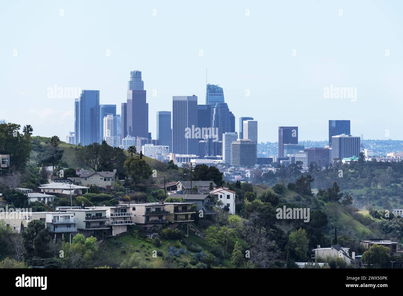 Downtown Los Angeles skyline towers with hillside homes in foreground ...
