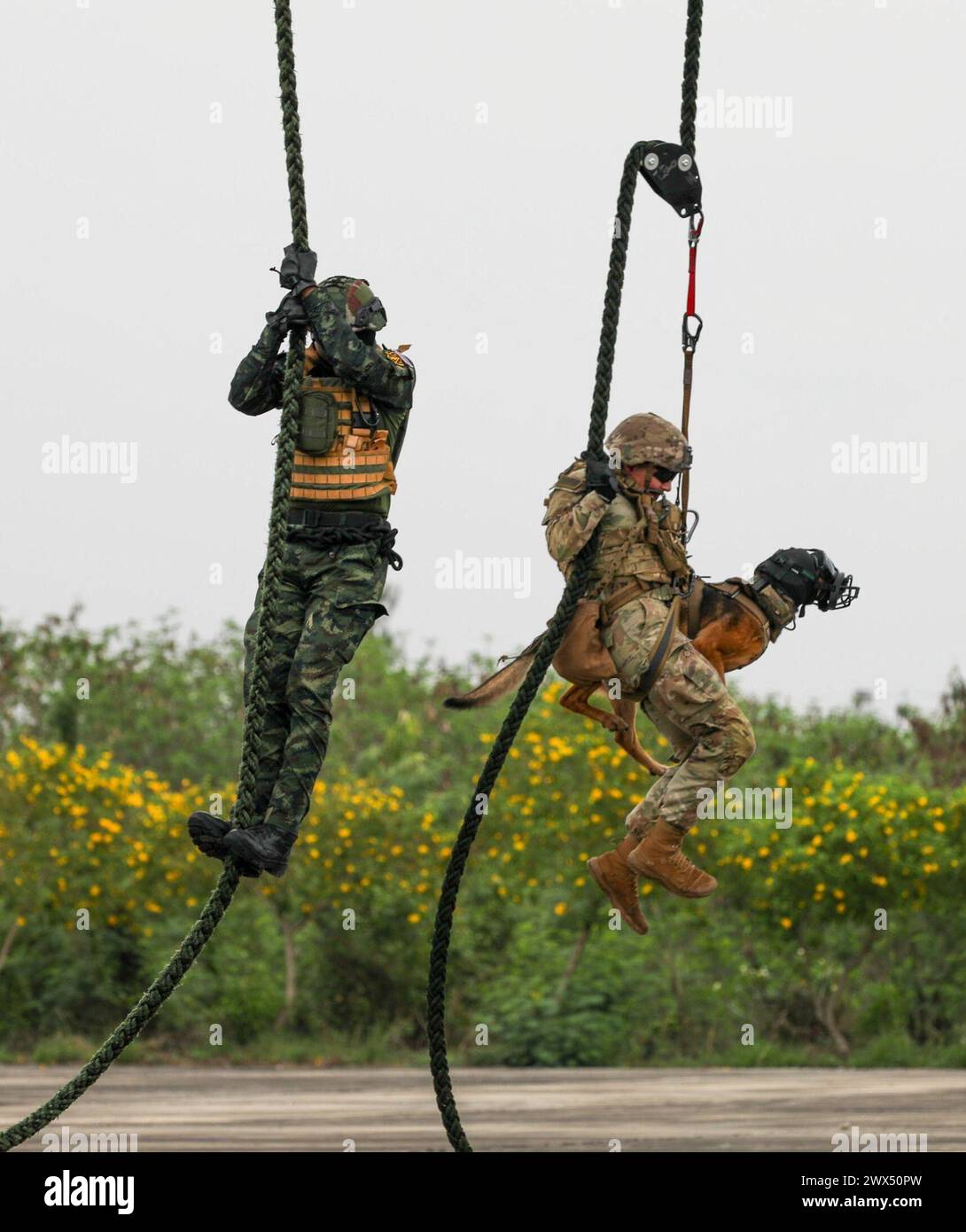 Hanuman guardian 2024 hi-res stock photography and images - Alamy