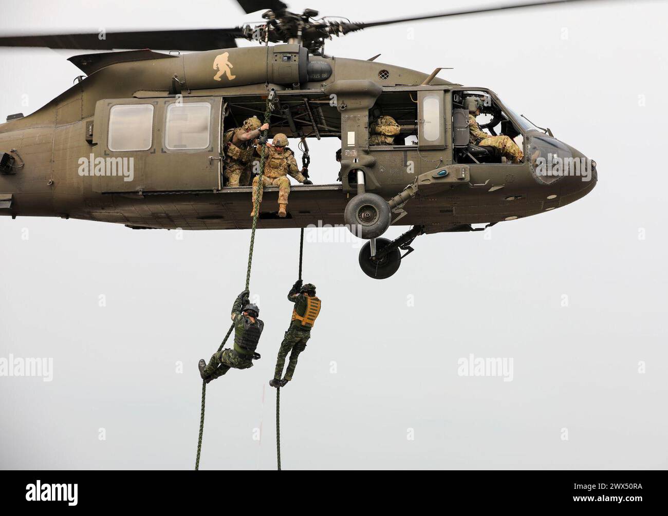 Royal Thai Army members perform fast rope insertion and extraction ...