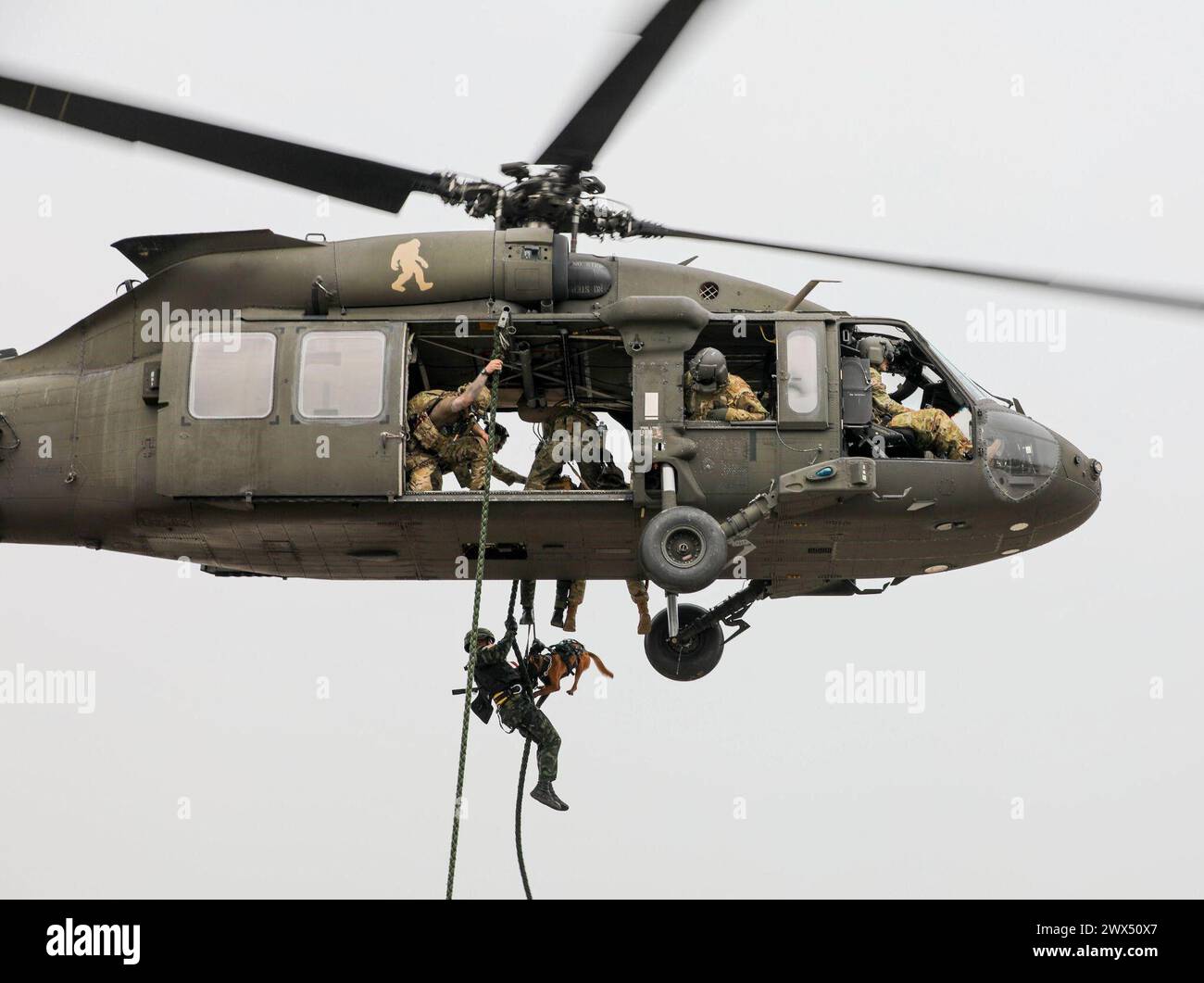 A Royal Thai Army military working dog and its handler perform fast ...