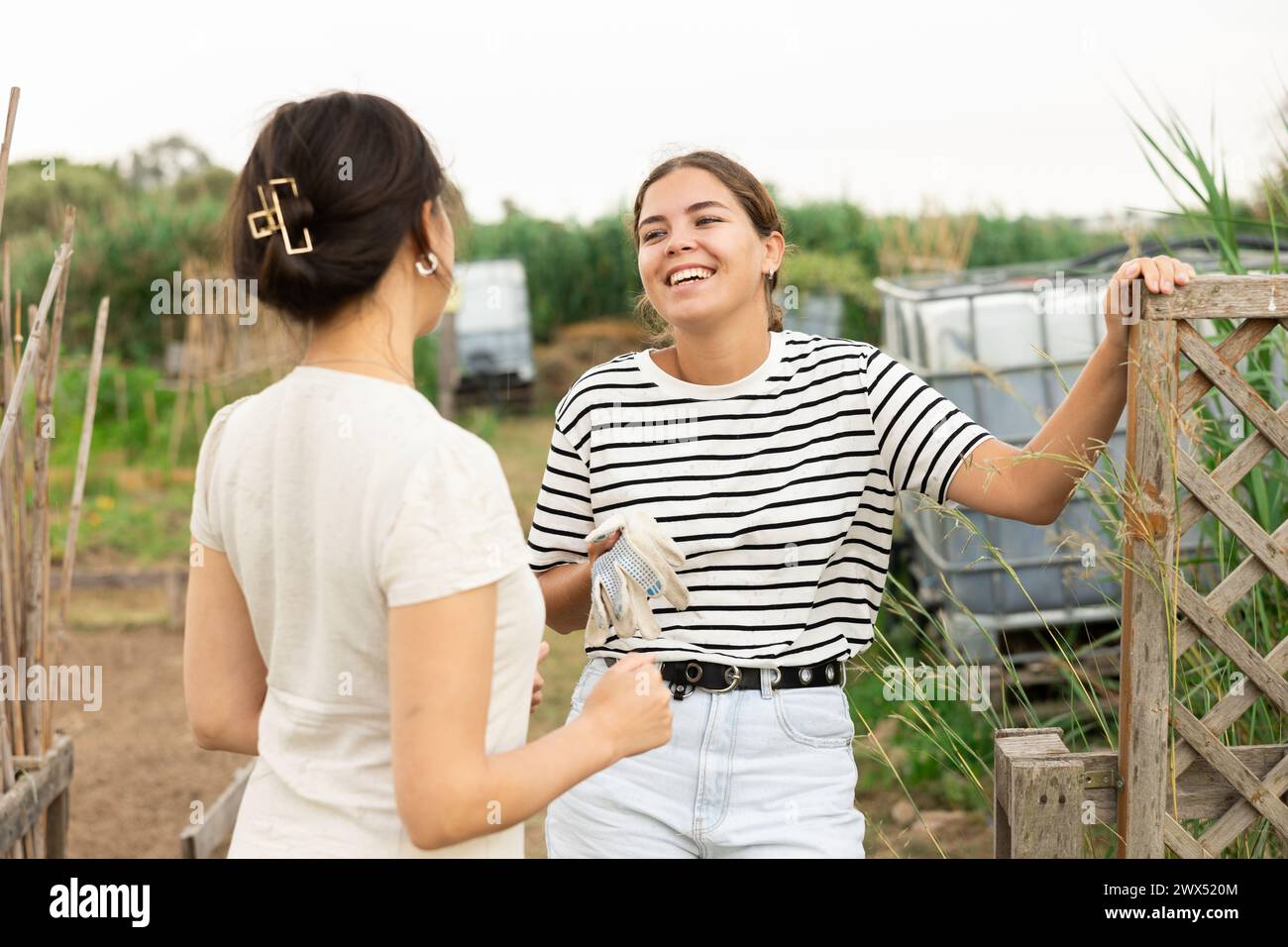 Cheerful young girls neighbors talking in backyard of village house ...