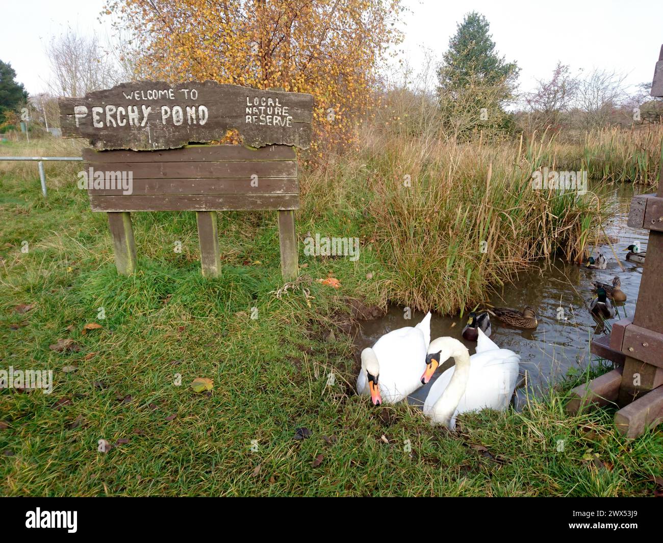 Local nature reserve scotland hi-res stock photography and images - Alamy