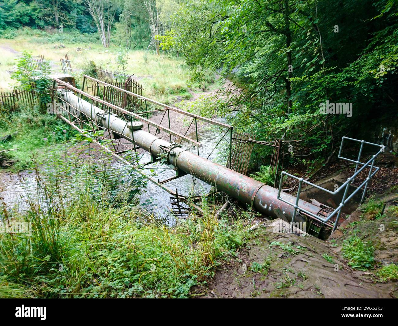 The Green Pipe, a footbridge also known as a pipe bridge in Wishaw Glen ...