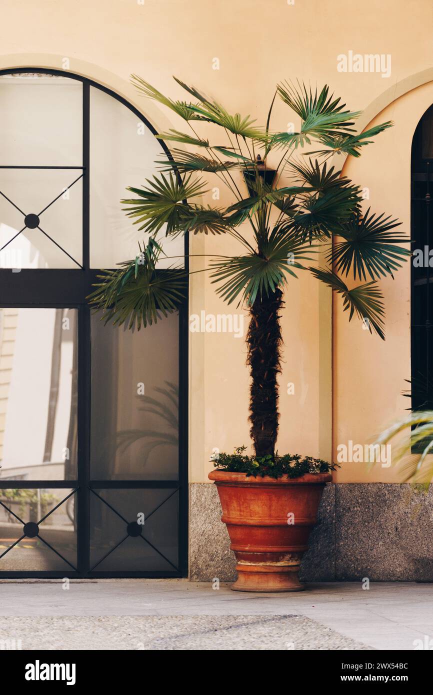 Palm tree courtyard design hi-res stock photography and images - Alamy