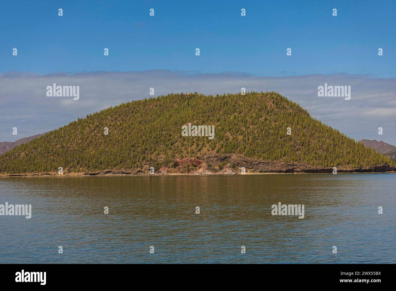Almagre Grande Island with Pitahaya cactus, pitaya on the beach and ...