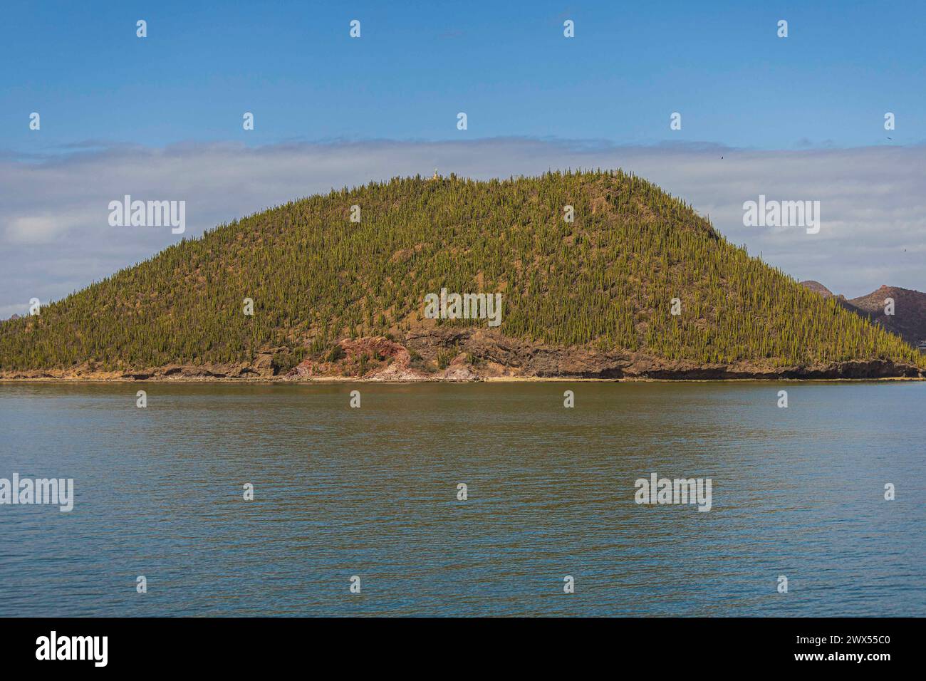 Almagre Grande Island with Pitahaya cactus, pitaya on the beach and ...