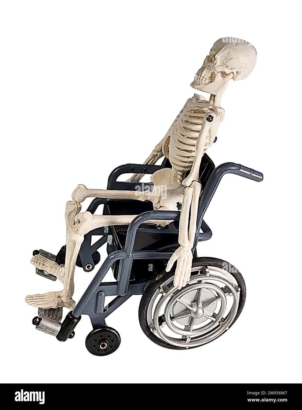 Skeleton sitting in a grey wheelchair for mobility Stock Photo - Alamy