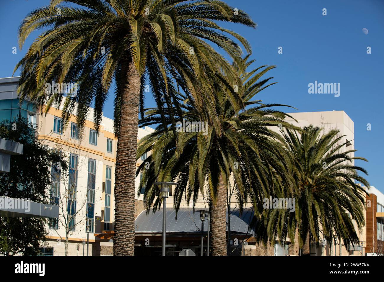 Afternoon sun shines on the buildings of downtown Cupertino, California ...