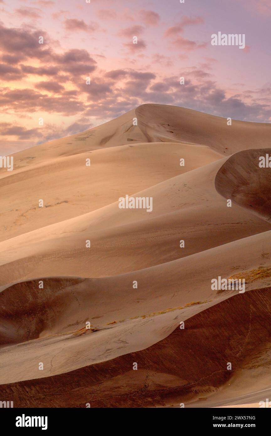 Gentle curves of sand dunes are highlighted by the fading twilight ...