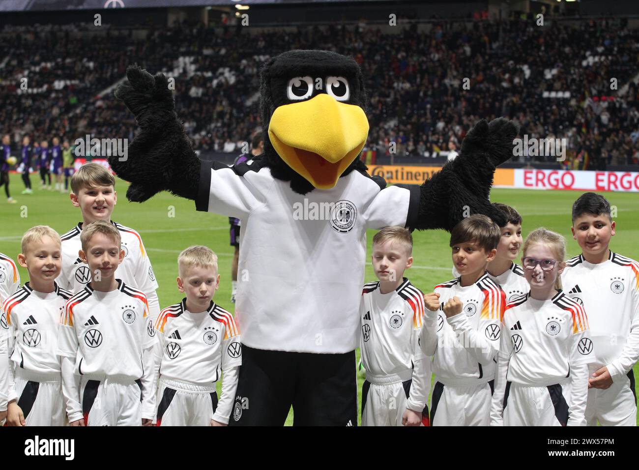 Frankfurt, Germany - 26. MARCH 2024: The DFB mascot, the eagle Paule ...