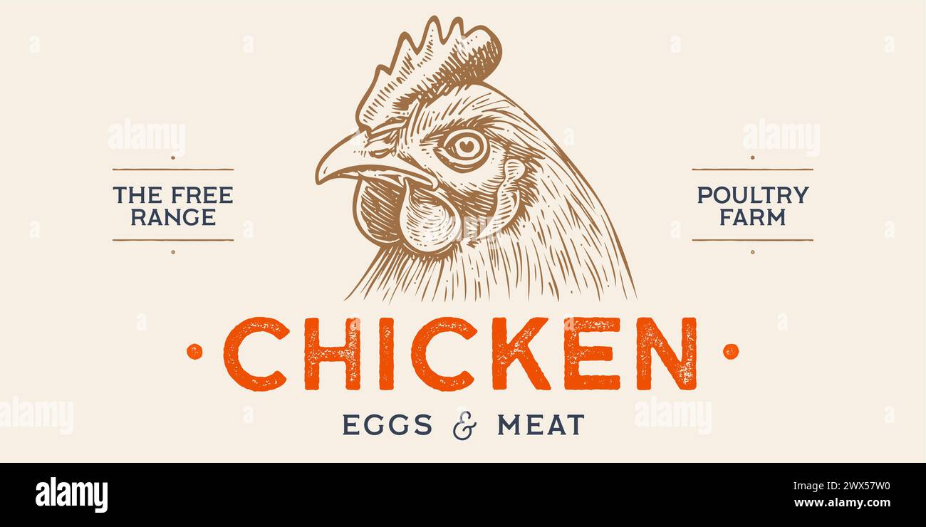 Cartoon chicken chicken drawing hi-res stock photography and images - Alamy