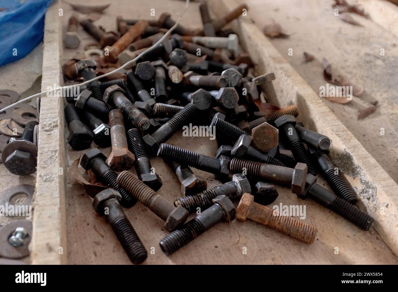 Various building construction screws scattered around a work site Stock ...