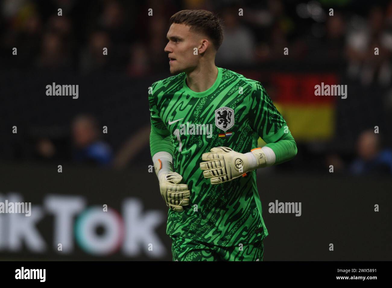 Frankfurt, Germany. , . #1 Bart Verbruggen (Keeper) during the Friendly Football match between ...
