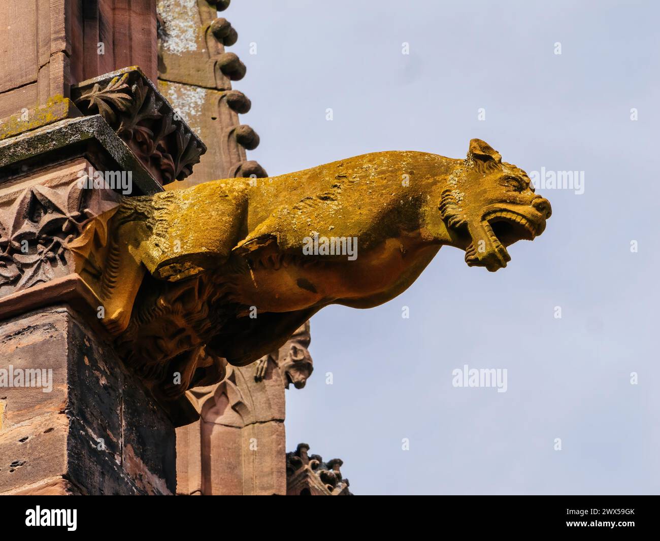A solid bronze gargoyle lion statue guards the side of a historical ...