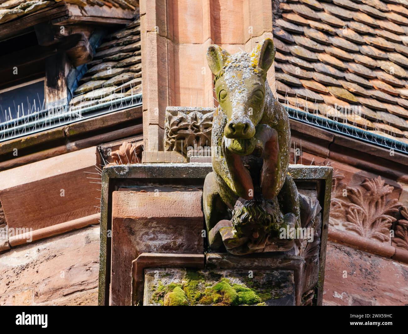 A majestic statue of a dog standing proudly on top of a building ...