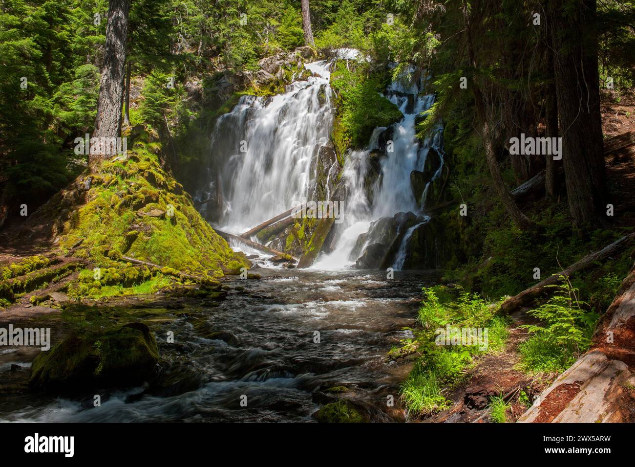 National Creek Falls near Oregon's upper Rogue River Stock Photo - Alamy