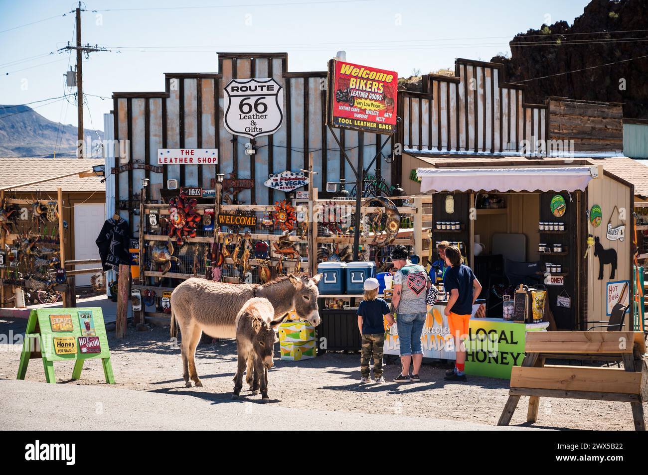 Wild burros walk through the historic gold mining town of Oatman ...