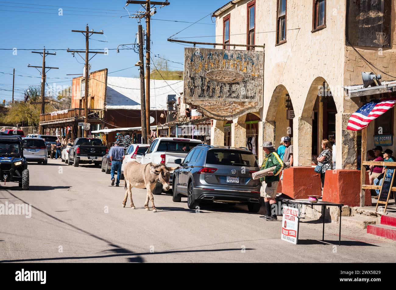 Wild burros walk through the historic gold mining town of Oatman ...